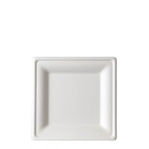Medium Square Sugarcane Plate